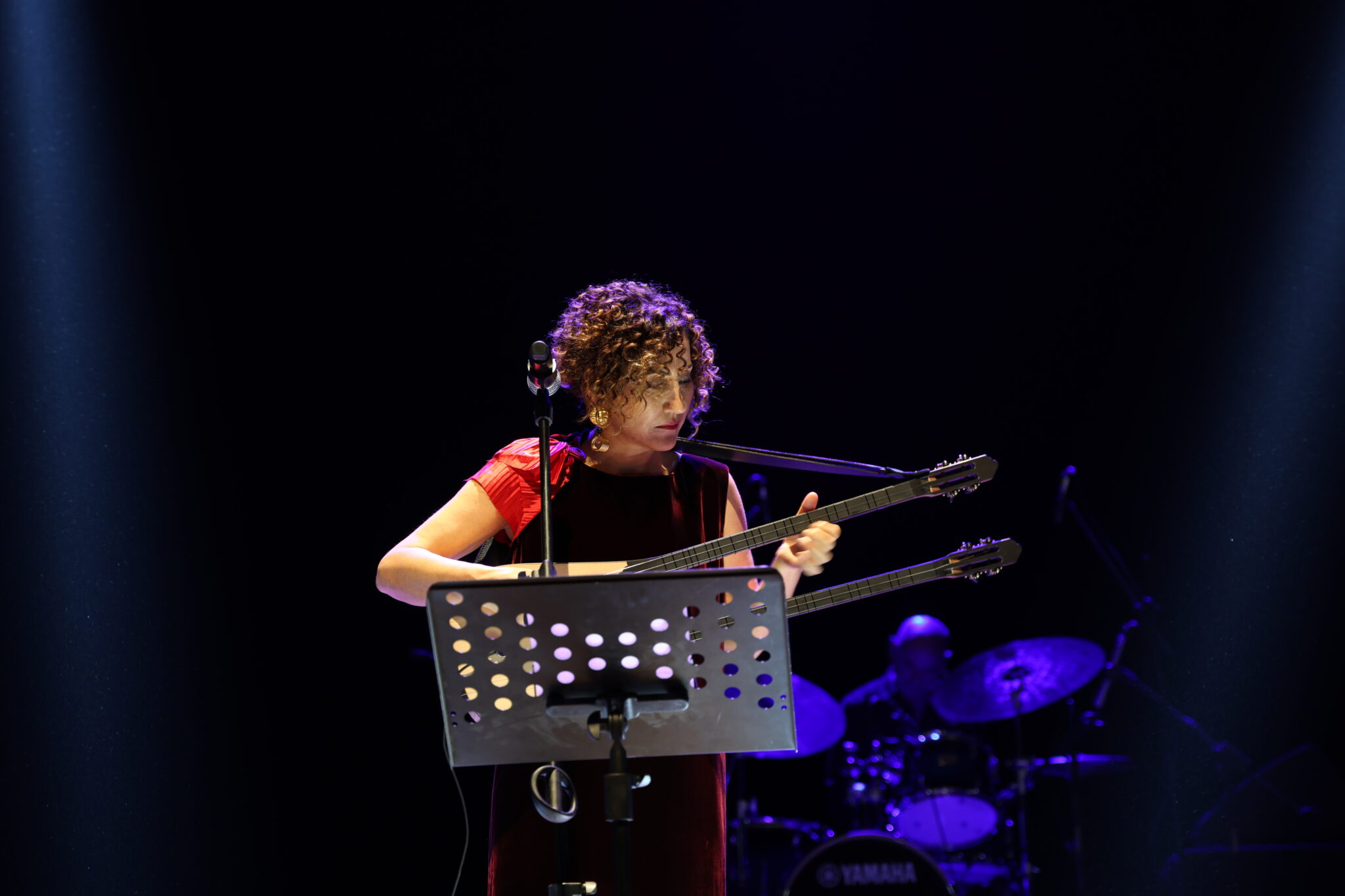 Aynûr Dogan li Amedê konserek li dar xist – Ajansa Welat