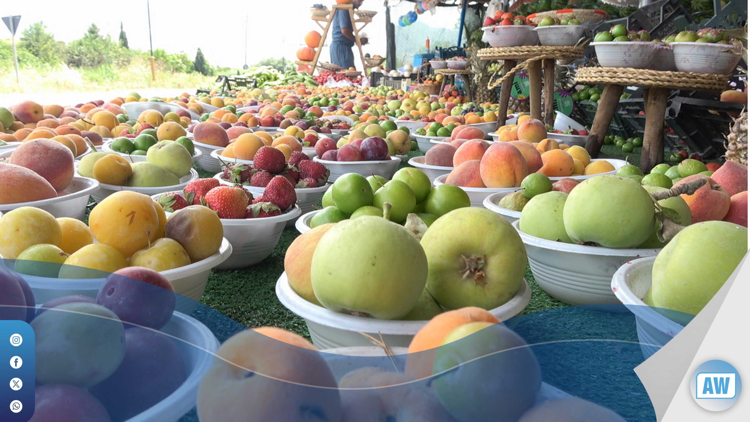 Deşta Şarezûrî de fêkî û berhamenê bînî elaqaya turîstan ancenê ...